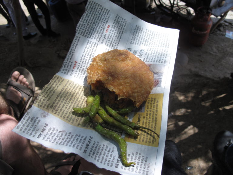 Getting Lucky in Rajasthan – babble.fish